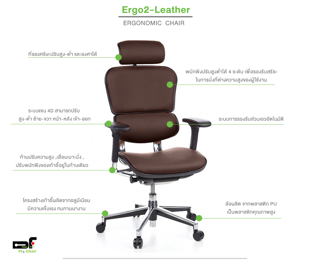 เก้าอี้เพื่อสุขภาพ รุ่น Ergo2-Leather - เก้าอี้เพื่อสุขภาพ